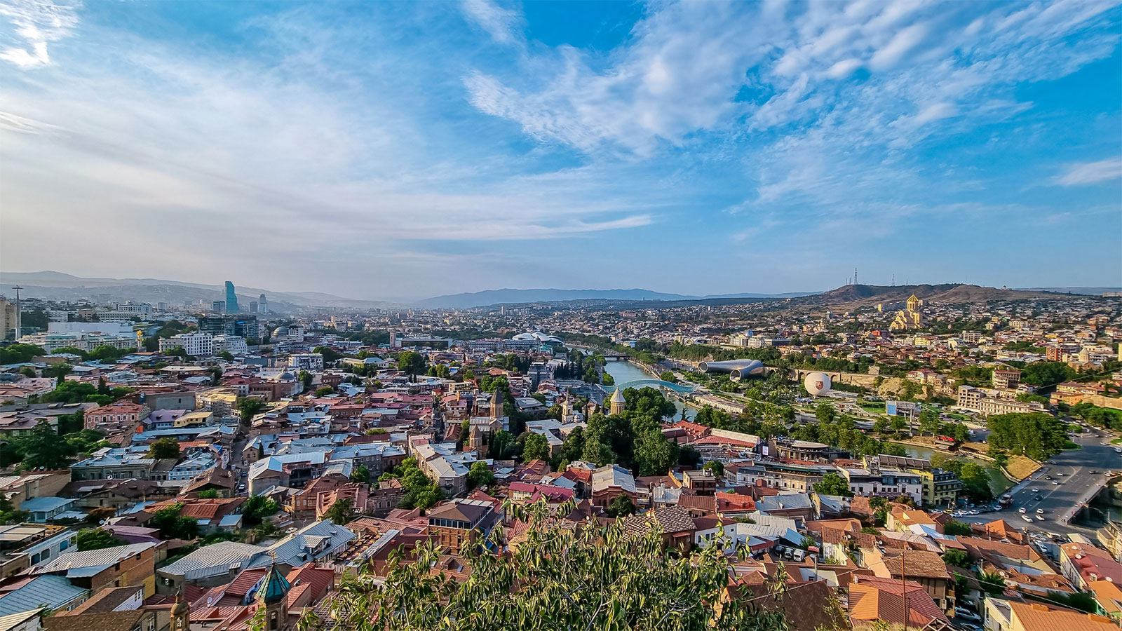 2024 - Tbilisi, Georgia - Ebra